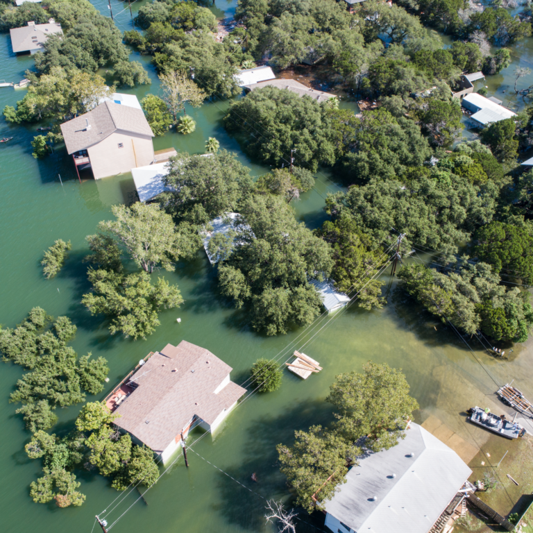 Climate Action Survey - Population Connection