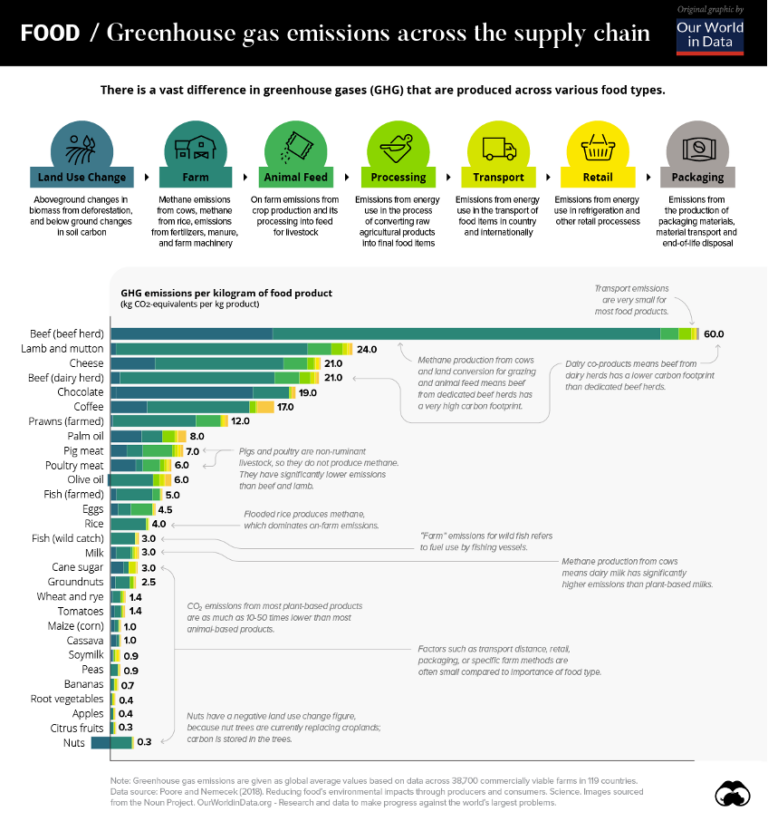 Human Impacts on the Environment: A Focus on Climate Change
