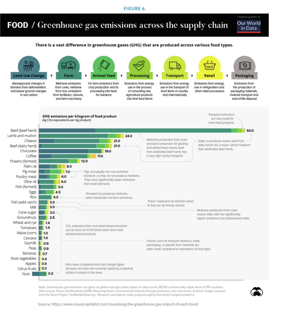 Human Impacts on the Environment: A Focus on Climate Change
