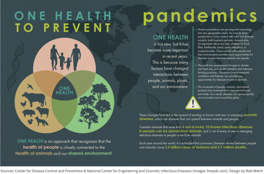 How Population Growth & Human Activities Increase the Risk of Zoonosis