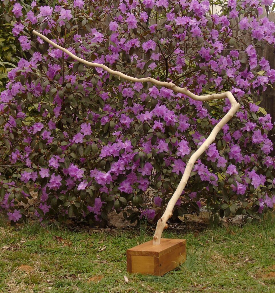 President’s Circle Member Bruce Colburn - Population Connection