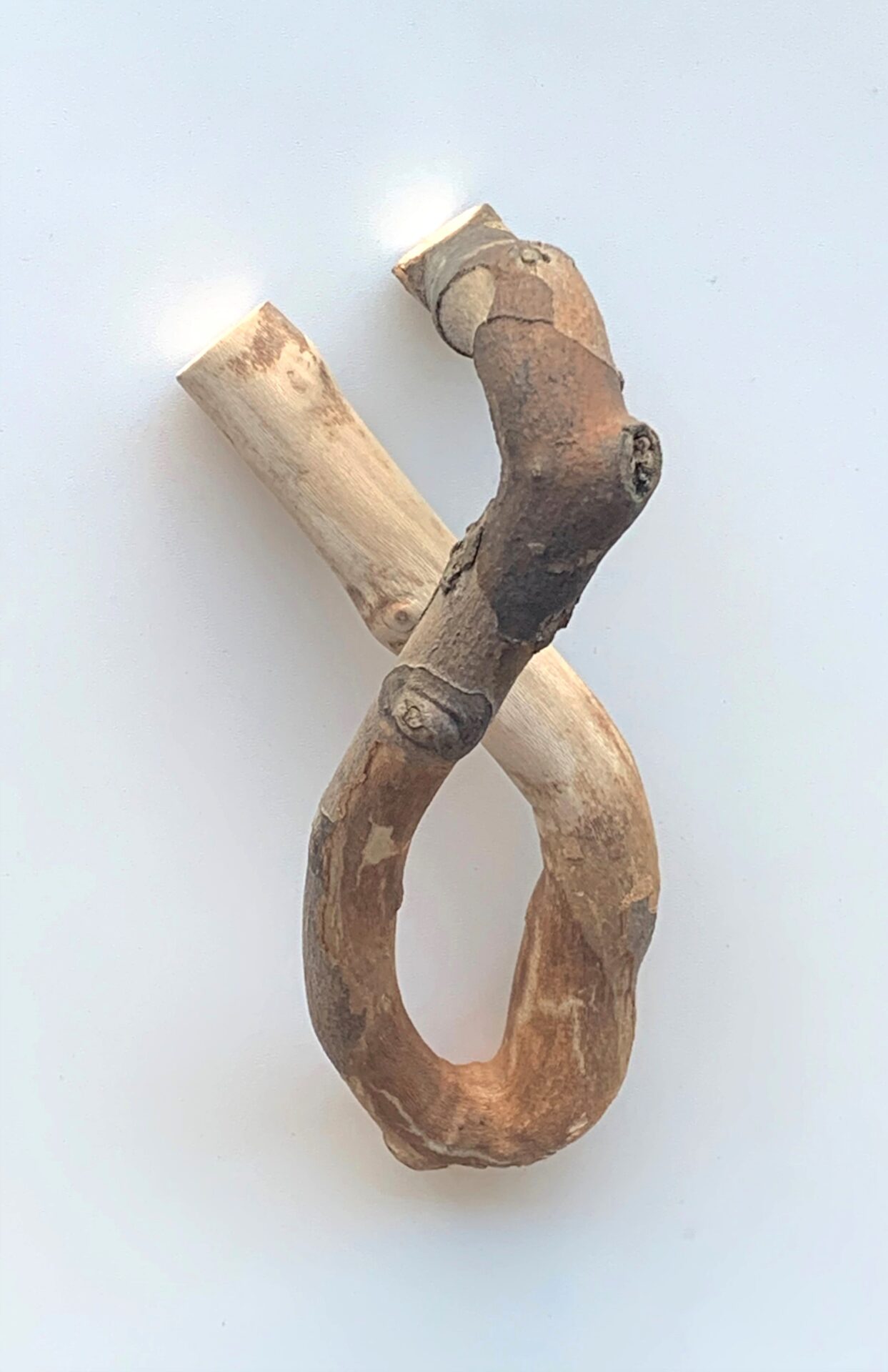 President’s Circle Member Bruce Colburn - Population Connection