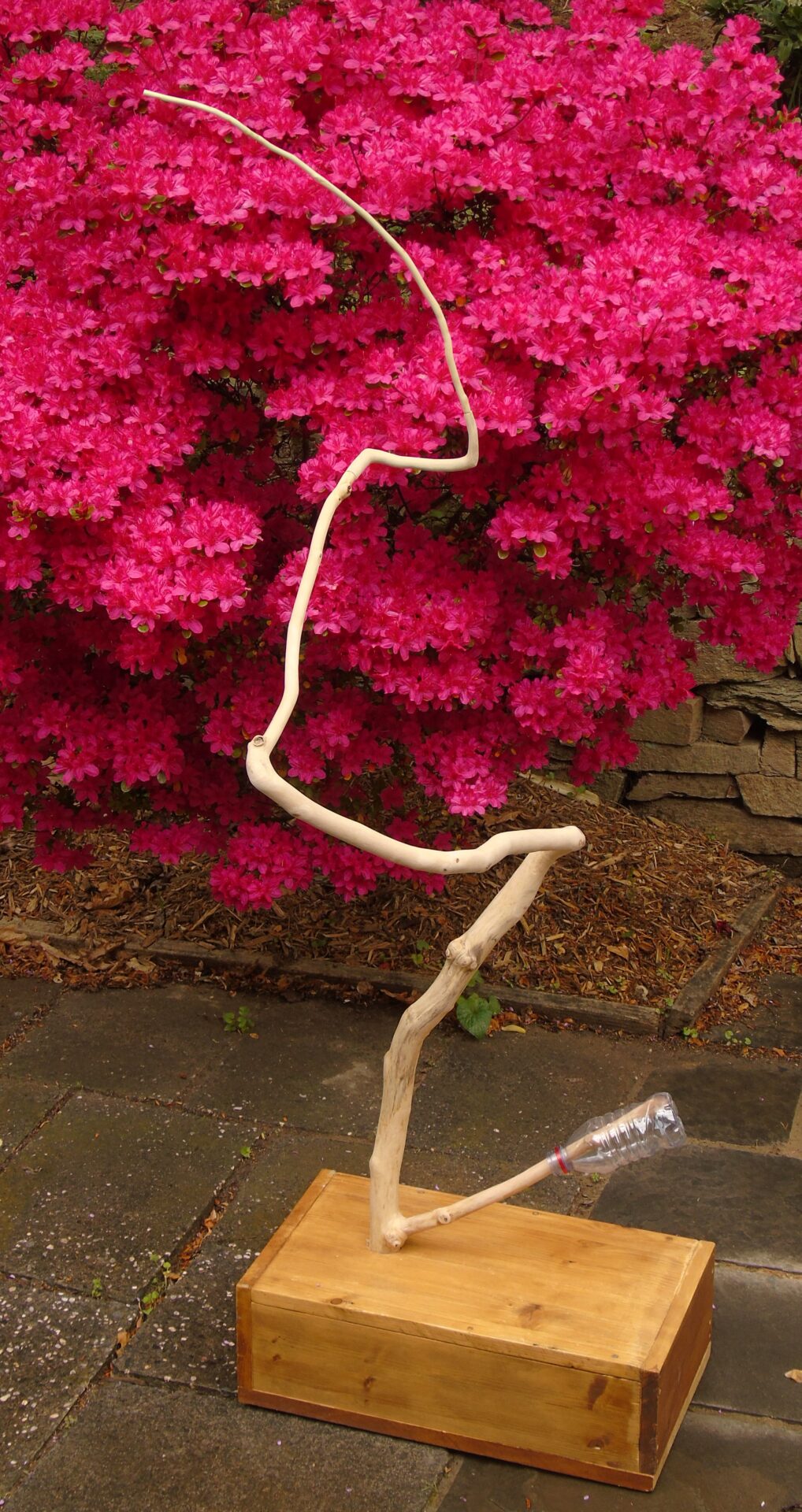 President’s Circle Member Bruce Colburn - Population Connection