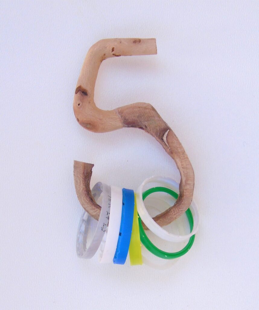 President’s Circle Member Bruce Colburn - Population Connection