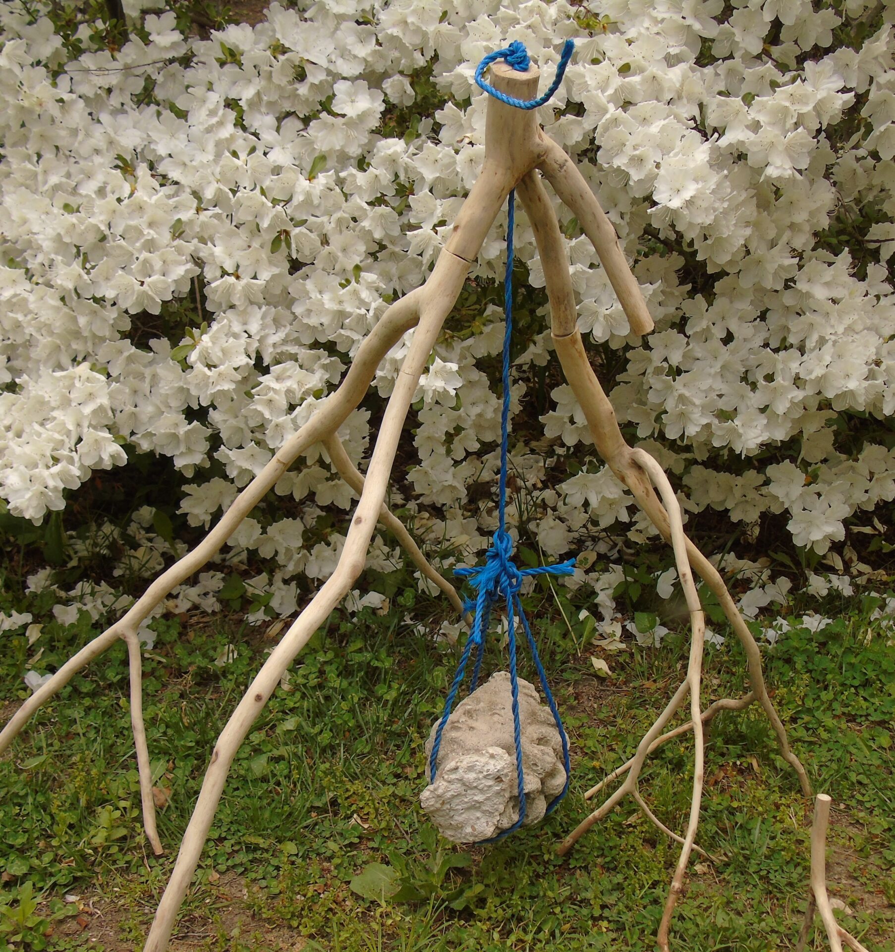 President’s Circle Member Bruce Colburn - Population Connection